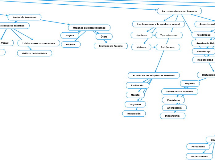 La Sexualidad Mind Map
